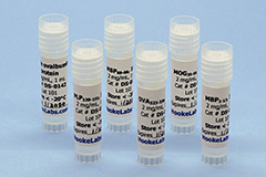 Hooke - Antigens in Solution